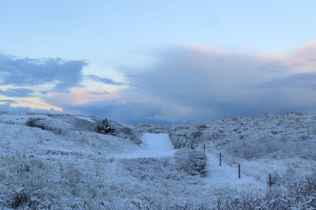 Wadfotograaf Rinnie Wijnstra: ‘In het begin bakte ik er niks van ...